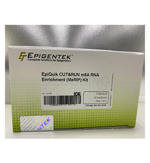 EpiQuik CUT＆RUN m6A RNA富集（MeRIP）试剂盒-EpiQuik CUT&RUN m6A RNA Enrichment ...